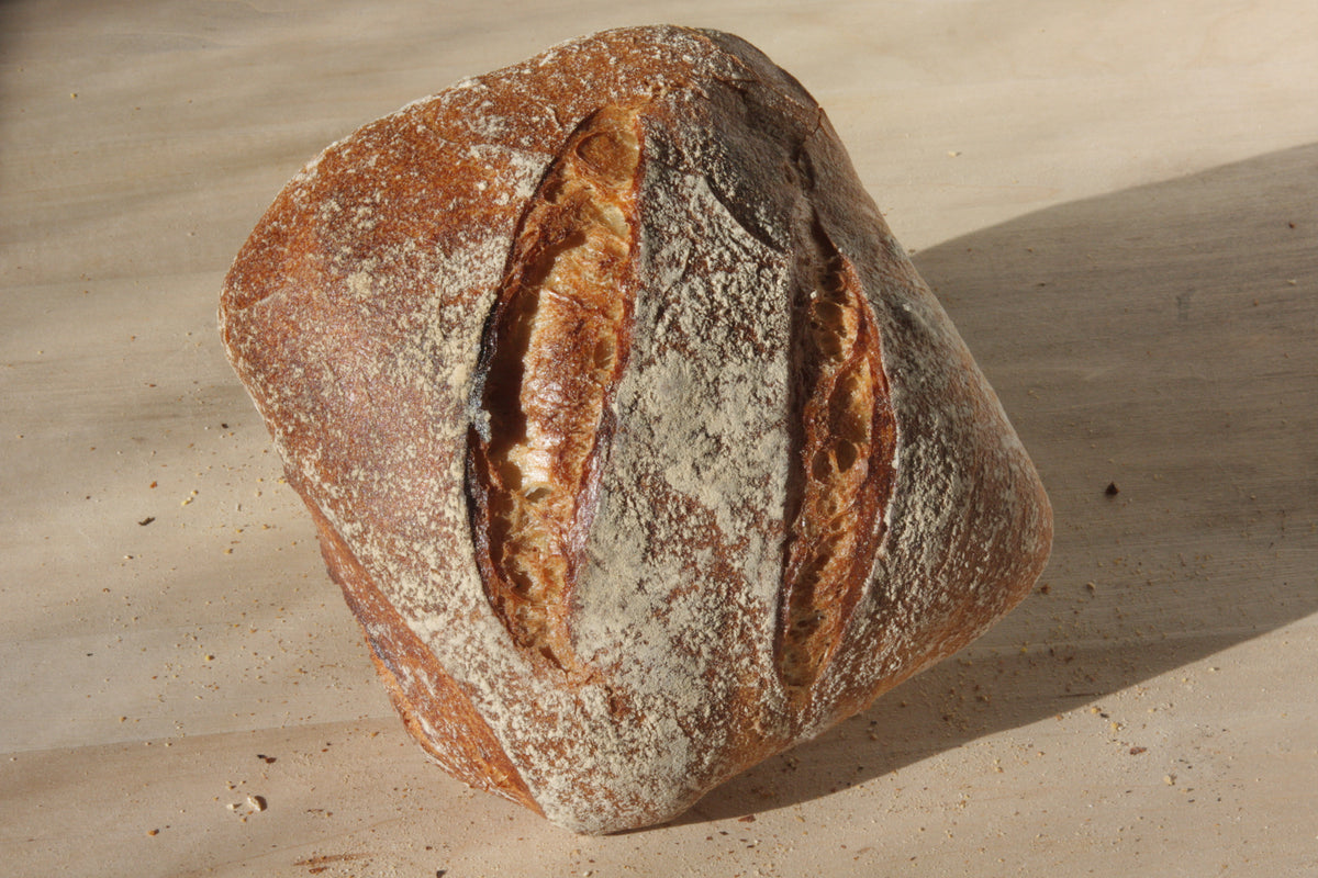 FRANCESE – IGGY'S BREAD