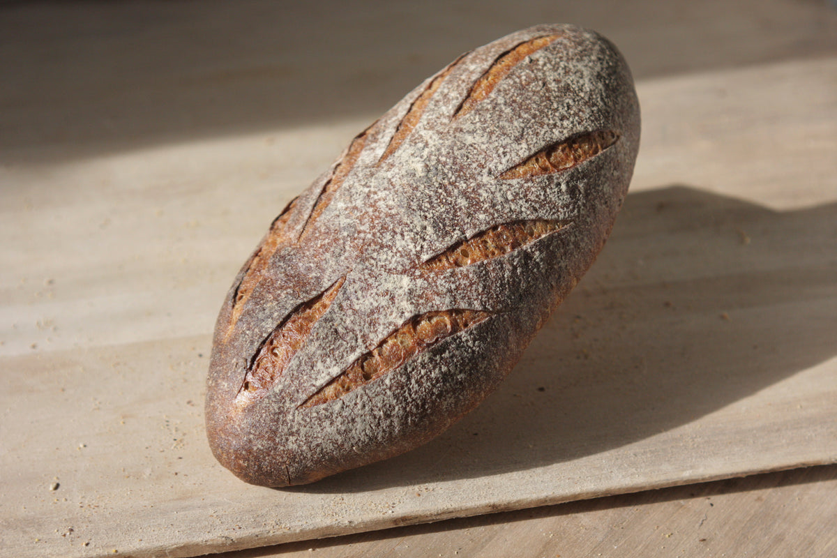 RYE – IGGY'S BREAD